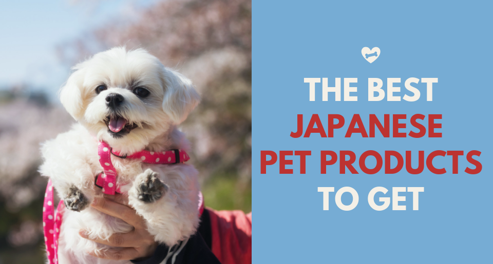 The Best Japanese Pet Products To Get | ZenMarket